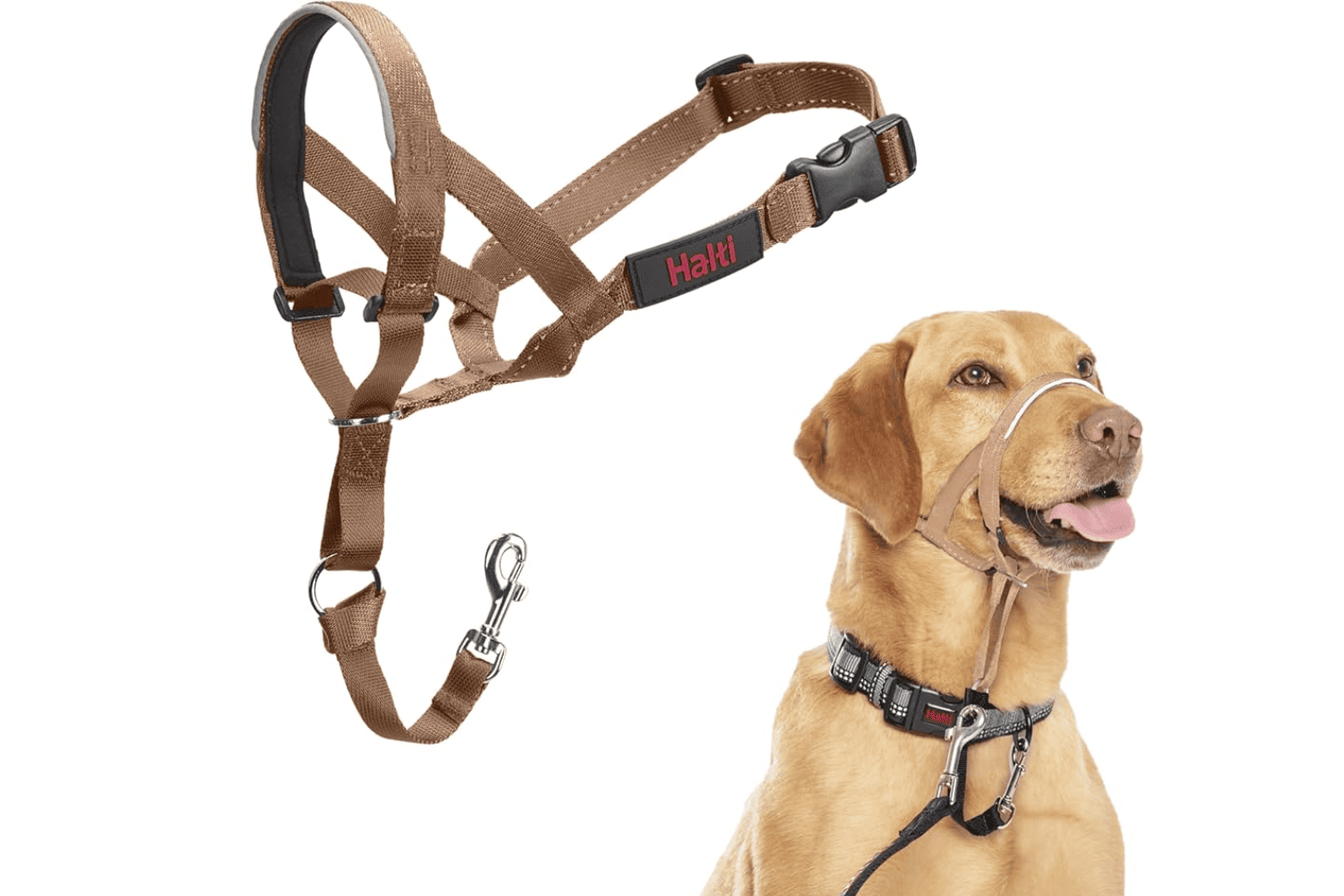HALTI Official Website - Premium Dog Leashes