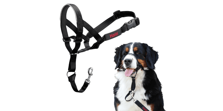 HALTI Website - Premium Dog Leashes